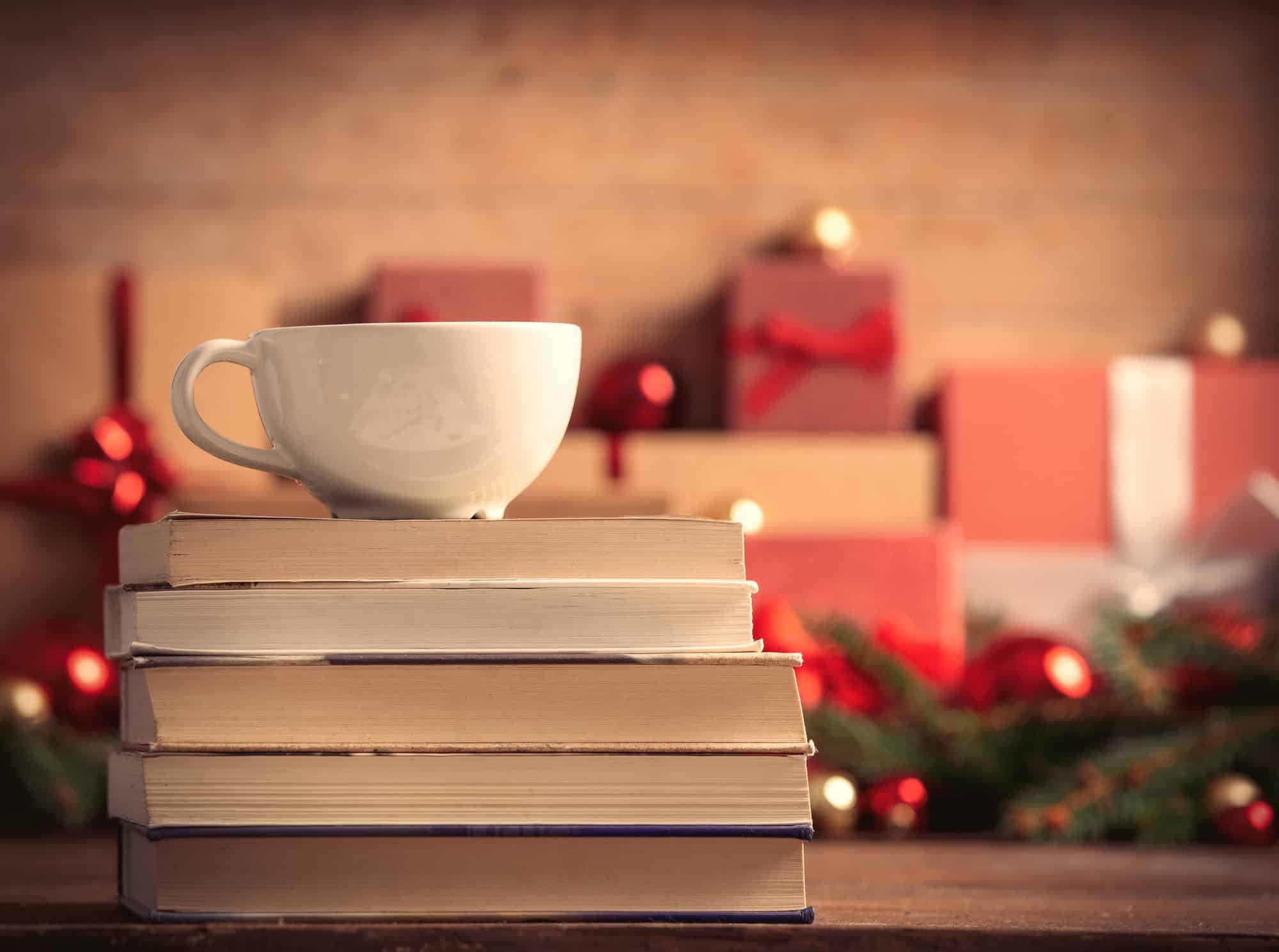 37+ Christmas Books To Get You Into The Festive Spirit - Mending Time ...